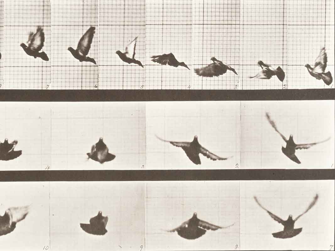 Poldi 'in motion' | Museo Poldi Pezzoli